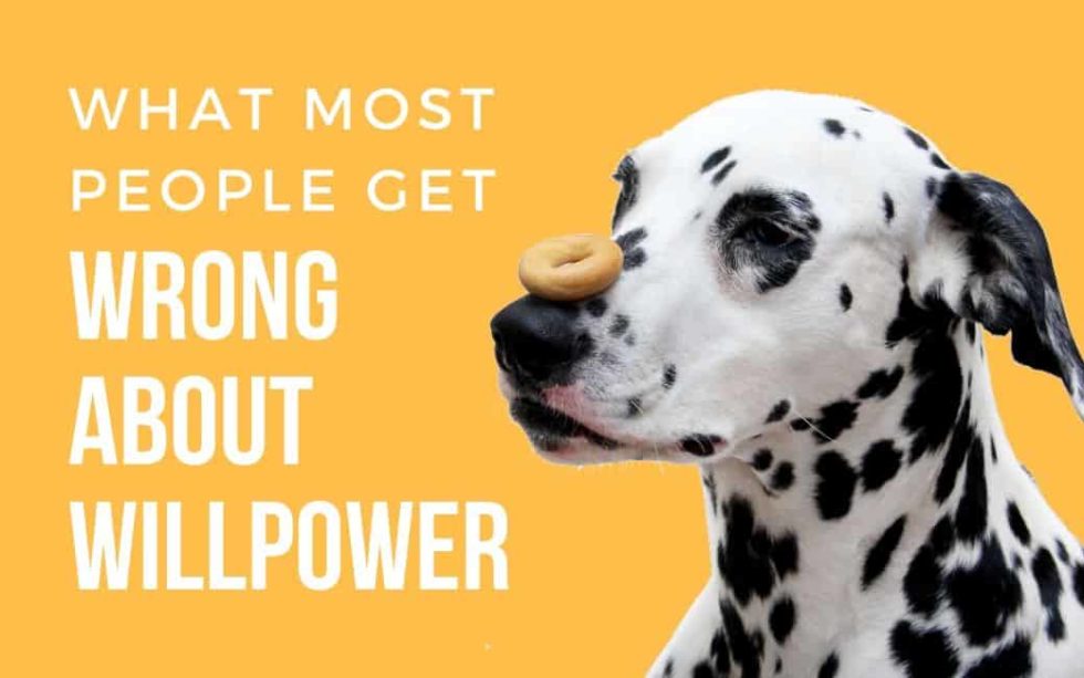 This is What Most People Get Wrong About Willpower - Nir & Far