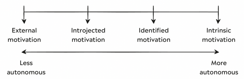 The Ultimate Guide to Unstoppable Motivation